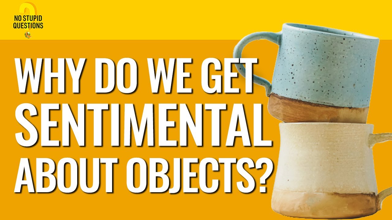 180. What Makes Some Objects Feel Special? | No Stupid Questions - YouTube