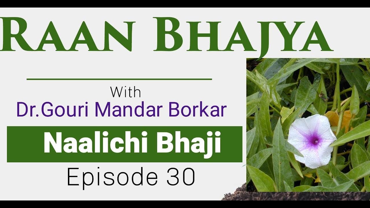 Naalichi bhaji | Raan Bhajya | Episode 30 | Dr.Gouri Mandar Borkar ...