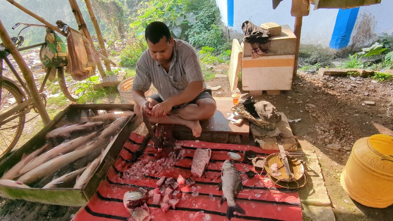 They can shred fish like potatoes in seconds 🐠🐟🐟 - YouTube