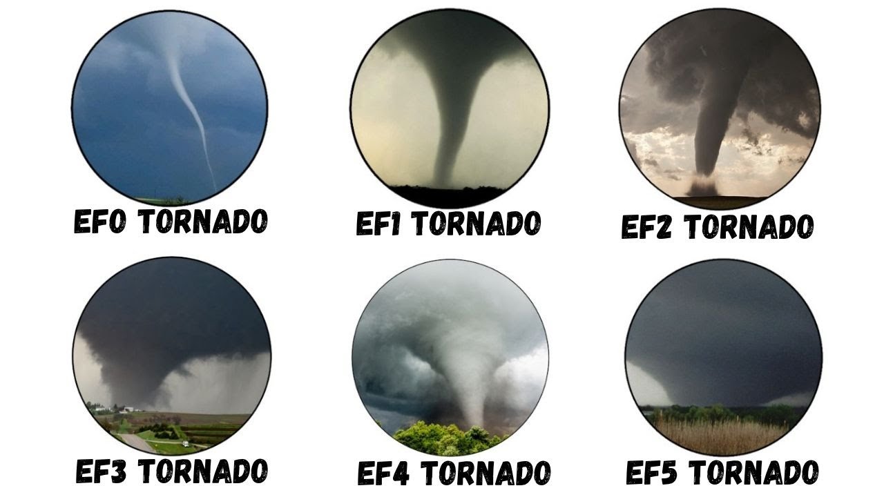 Every Tornado Intensity Explained in 10 Minutes | Explaini Mate - YouTube