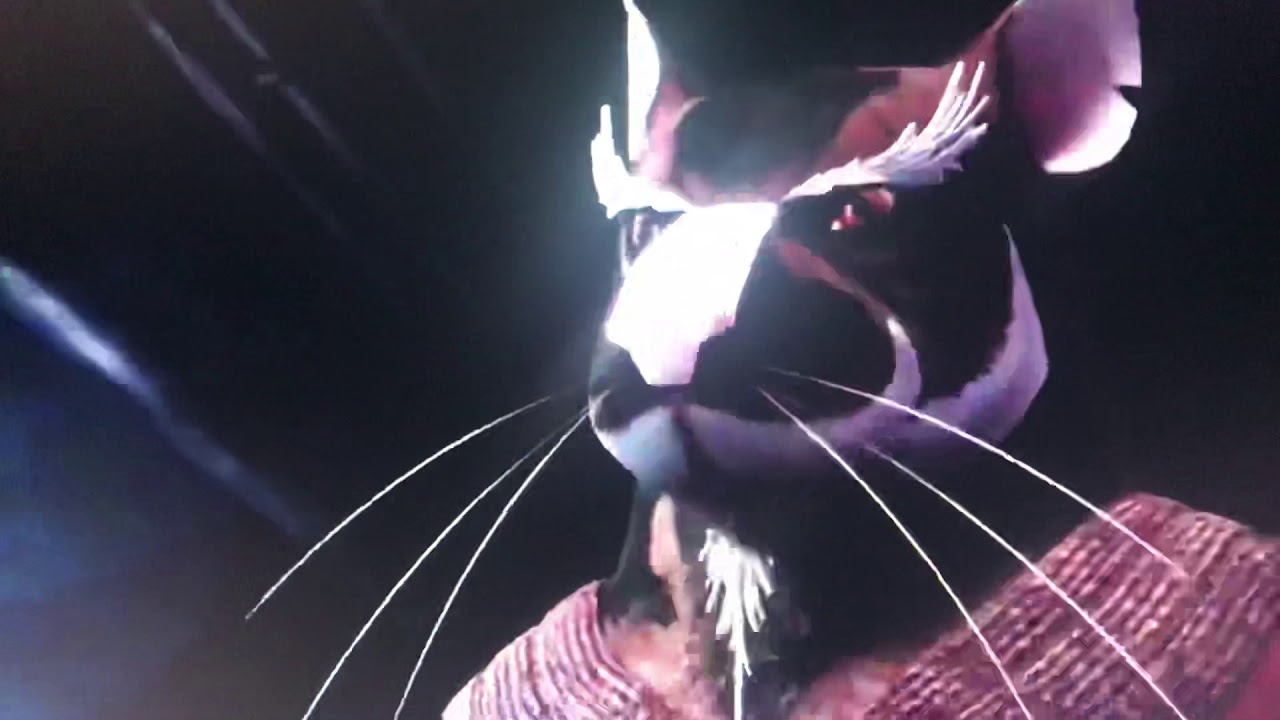 Tmnt vengeance is mine - YouTube