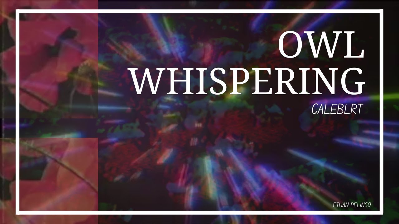 Caleblrt - Owl Whispering (Lyrics) - YouTube