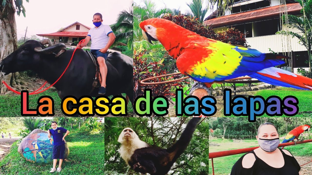 LA CASA DE LAS LAPAS EN COSTA RICA #COSTARICA - YouTube