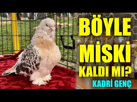 BÖYLE MİSKİLER KALDI MI? KADRİ GENÇ ANLATIYOR | Kürenk Kulübü