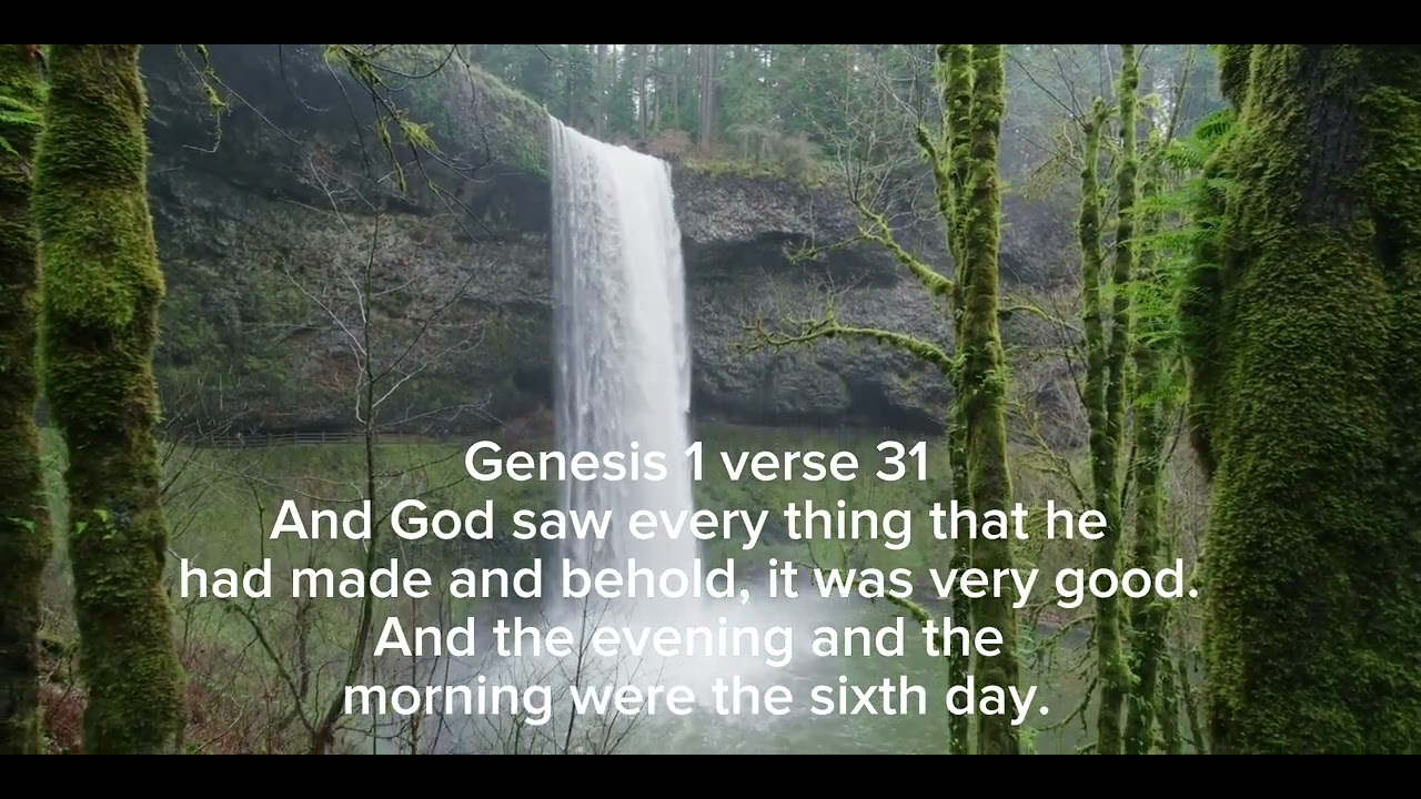 Genesis 1:31 - YouTube