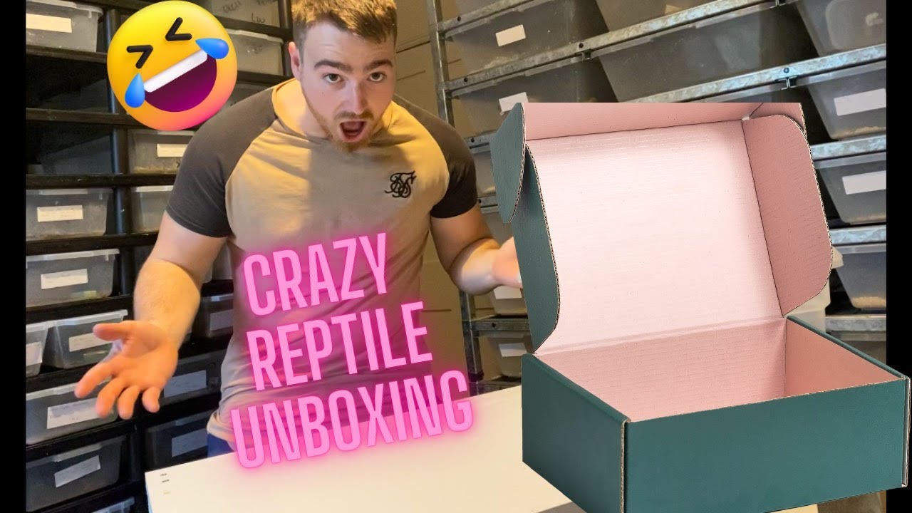 Reptile Unboxing ! - YouTube