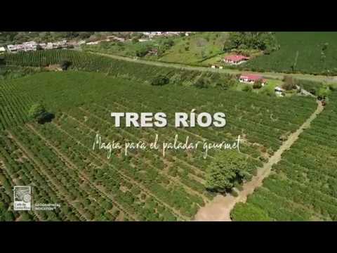 Tres Rios - Café de Costa Rica - YouTube