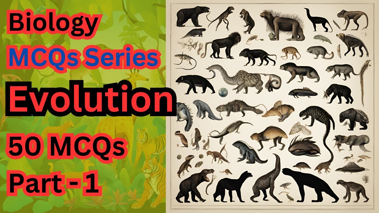 Evolution Excellence: 50 Vital MCQs for NEET Exam & Class 12 Biology ...