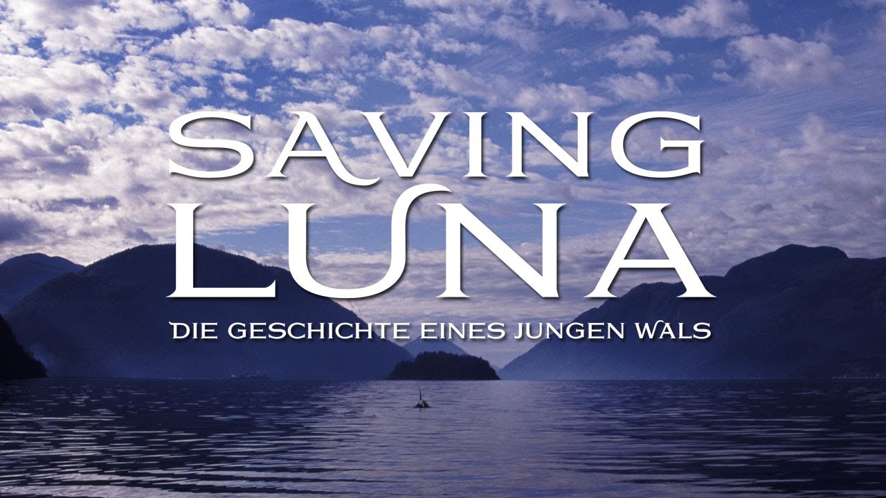 Saving Luna - Die Geschichte eines jungen Wals Trailer - YouTube