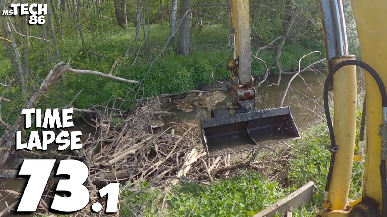 Beaver Dam Removal With An Excavator And Pulling Out A Fallen Tree No ...