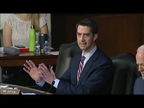 April 6, 2022: Senator Cotton Q&A During Senate Select Committee on Intelligence Hearing