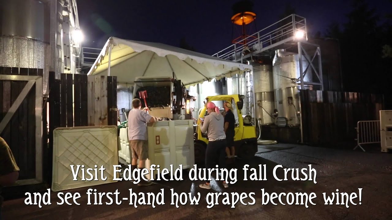 Crush | Edgefield Winery - YouTube