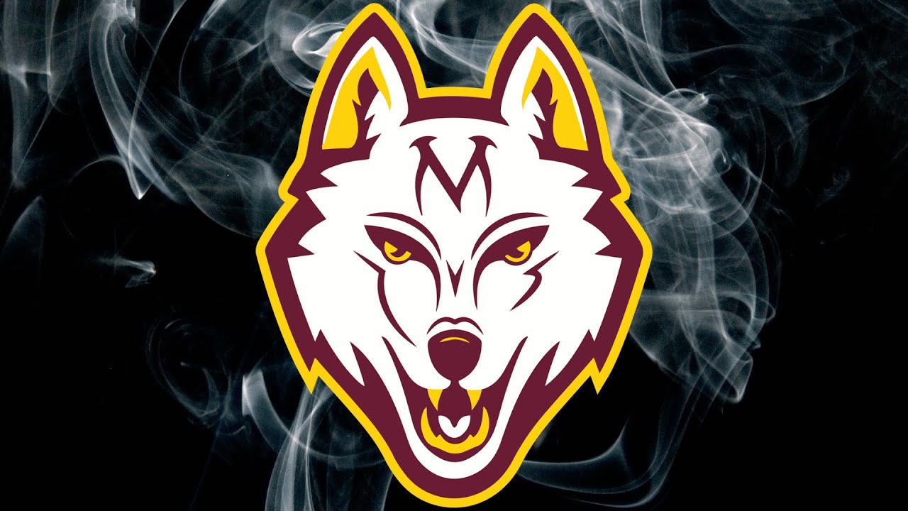 Menno Wolves vs. Freeman Academy/Marion Bearcats (V BBB) - YouTube