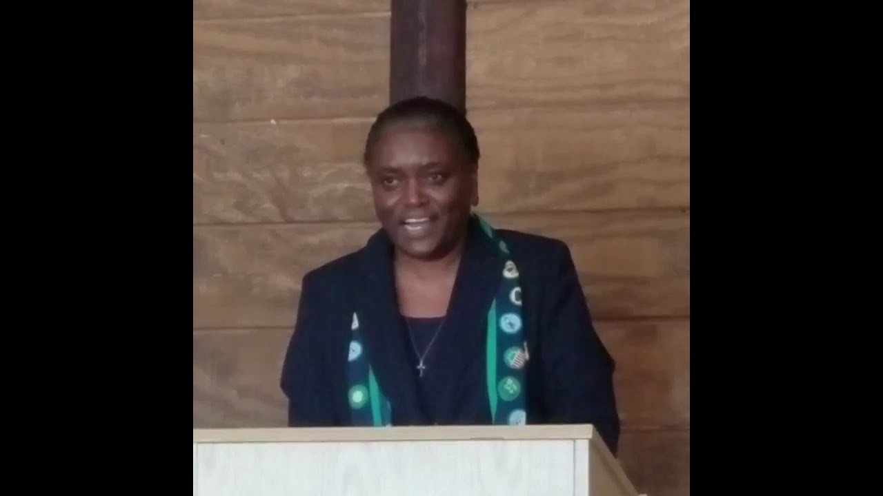 Girl Scouts of Southern Illinois CEO Loretta Graham at Belleville ...