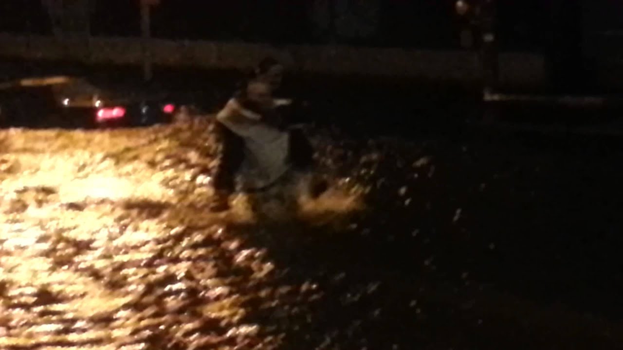 Willyman, your latest superhero. - YouTube