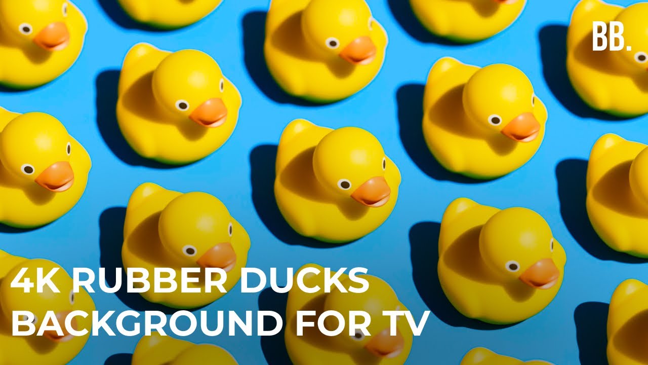 4K Animated Ducks Screensaver | Rubber Ducks Screensaver for 4K TV, PC ...