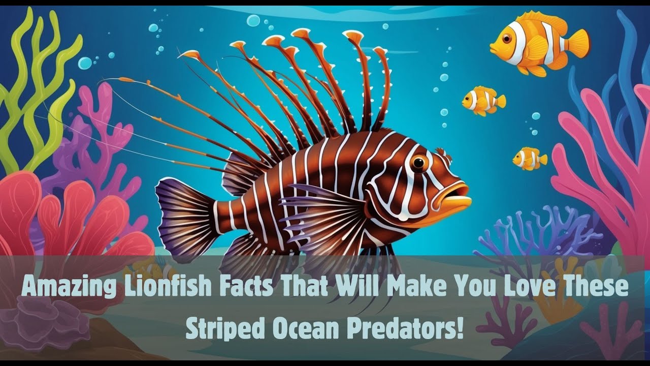 Why Do Lionfish Have Stripes and Spines? Discover 10 Fun Facts! - YouTube