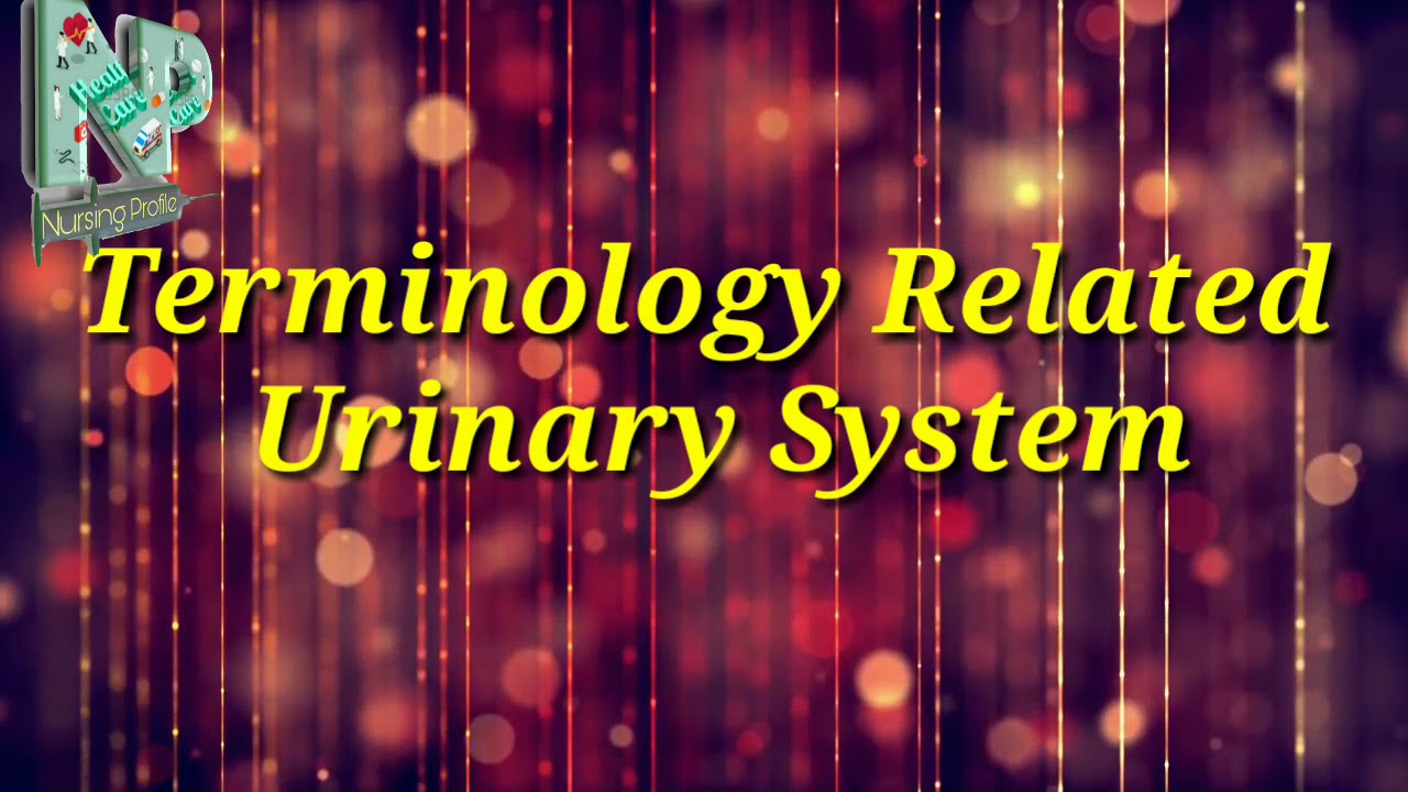 Staff nurse mate Terminology Related Urinary System - YouTube