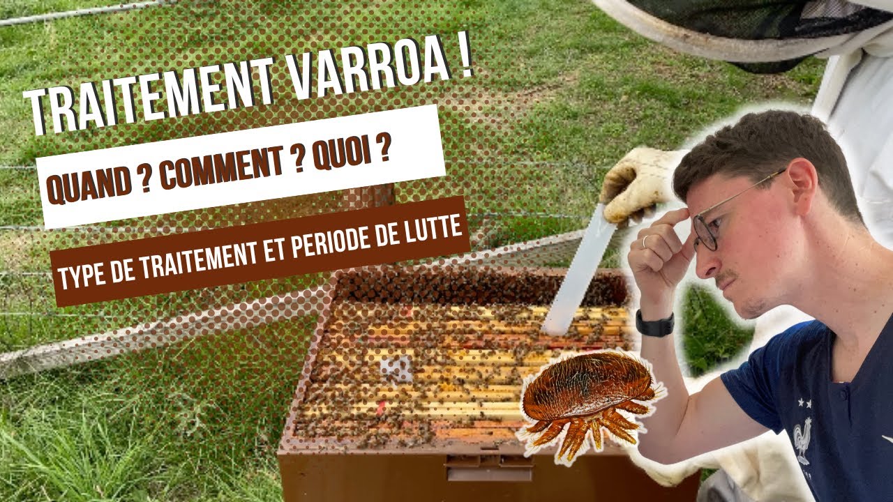 Traitement Varroa, Quand ? Comment ? Quoi ? Type de traitement et ...