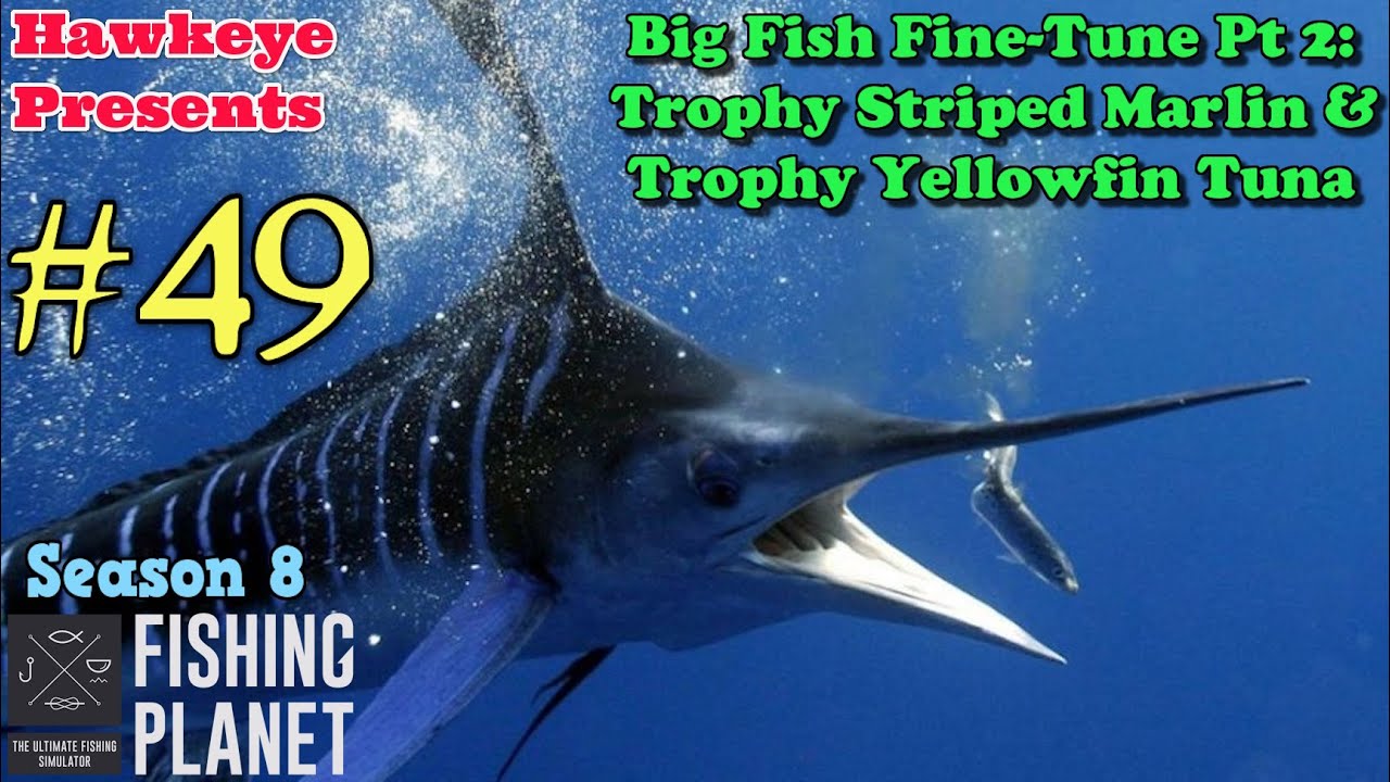 Fishing Planet #49 - Big Fish Fine-Tune Part 2: Trophy Striped Marlin ...