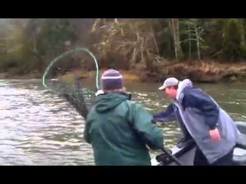 Adin & Perry landing a steelhead on the Chehalis River - YouTube