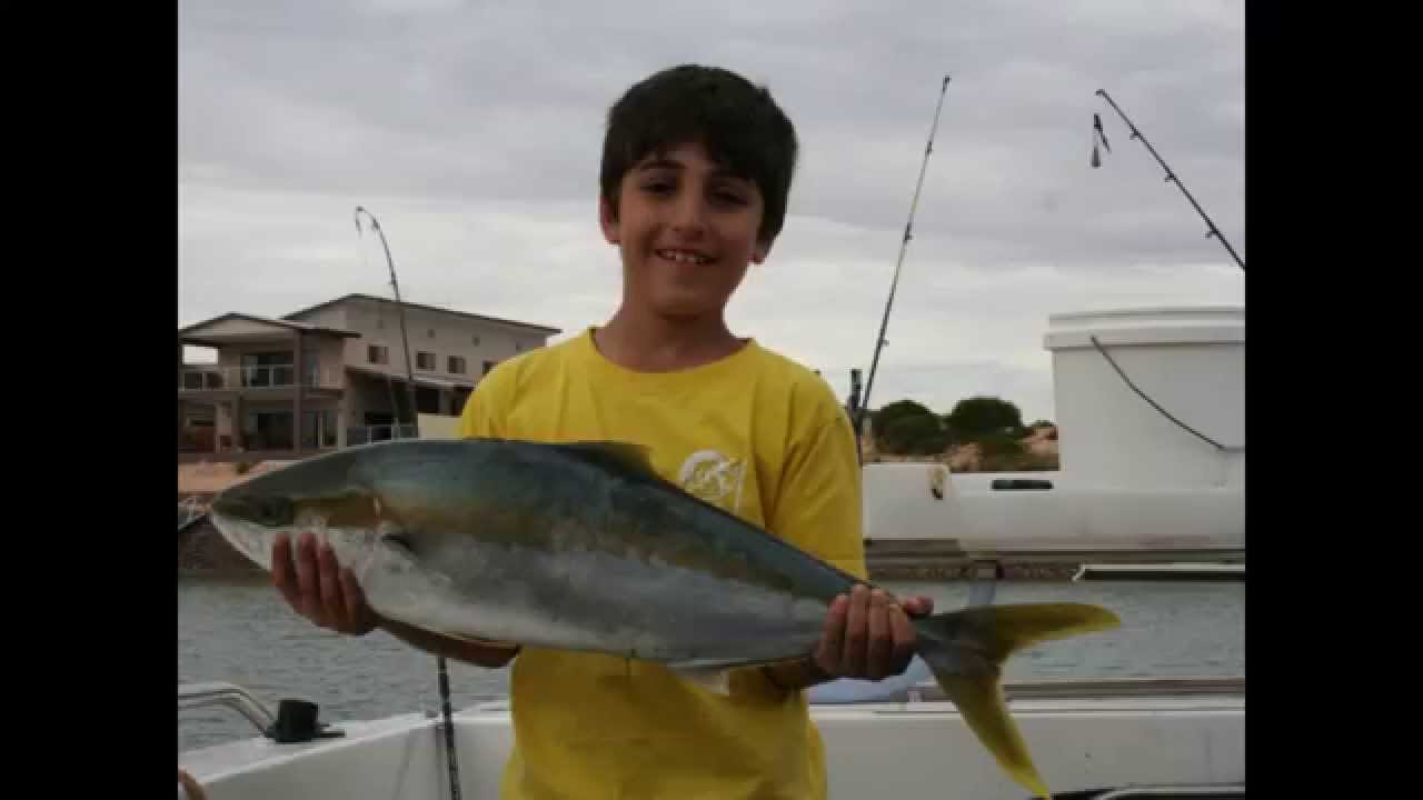 Snapper South Australia - YouTube