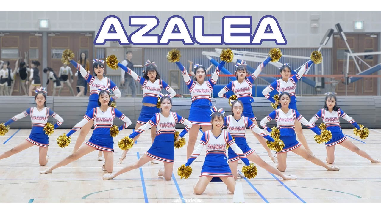 아젤리아 AZALEA (향남중) 중등팜 POM 금상 @ 7회 서초치어리딩대회 Filmed by lEtudel - YouTube