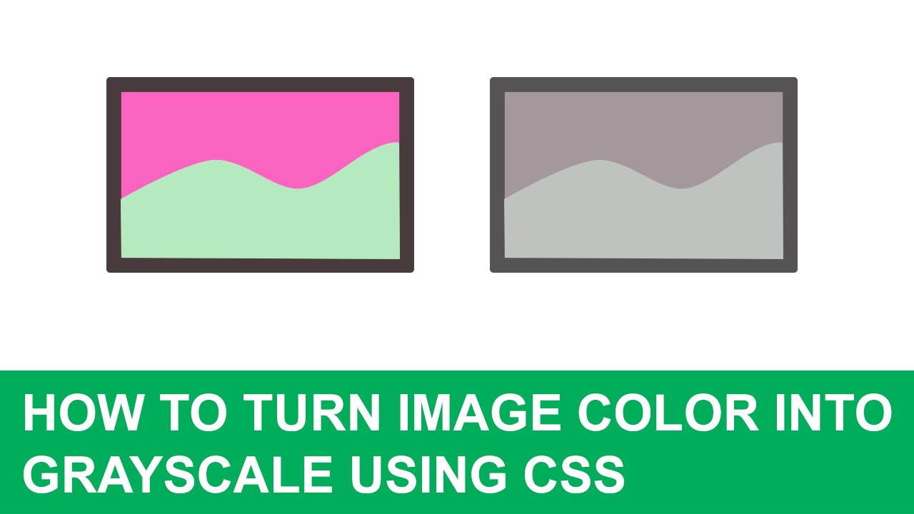 How To Turn Image Color Into Grayscale Using Css Easy Youtube