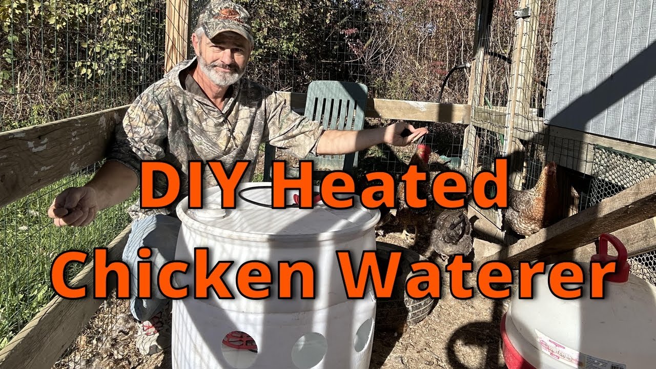 You Can Build This Heated Chicken Tank! - YouTube