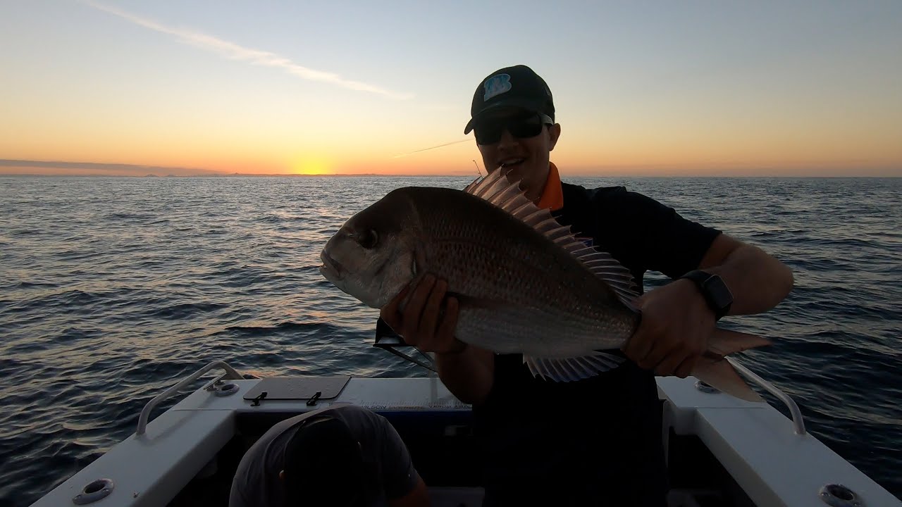 Snapper are back!! - Moreton Bay Fishing and Squidding - YouTube