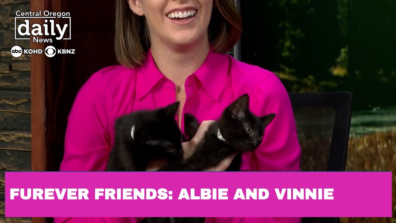 Furever Friends: Albie and Vinnie - YouTube
