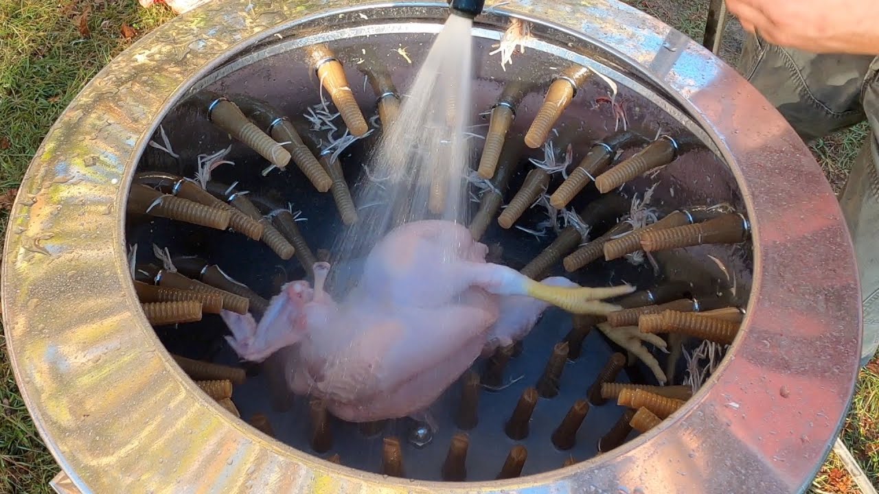 The Absolute Fastest Way to Process a Chicken - YouTube