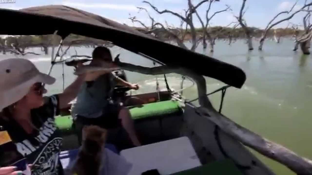 LiveLeak.com - Red neck Boating fail - YouTube