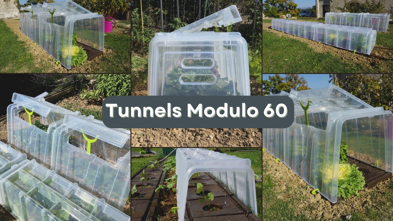 Tunnel Modulo 60 : l'accélérateur du processus de germination - YouTube