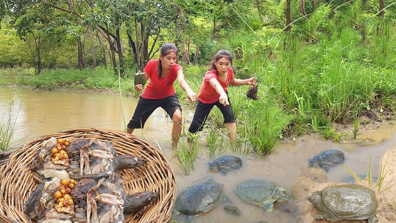 Survival food Catching and Cooking river Turtle & Quail for lunch while ...