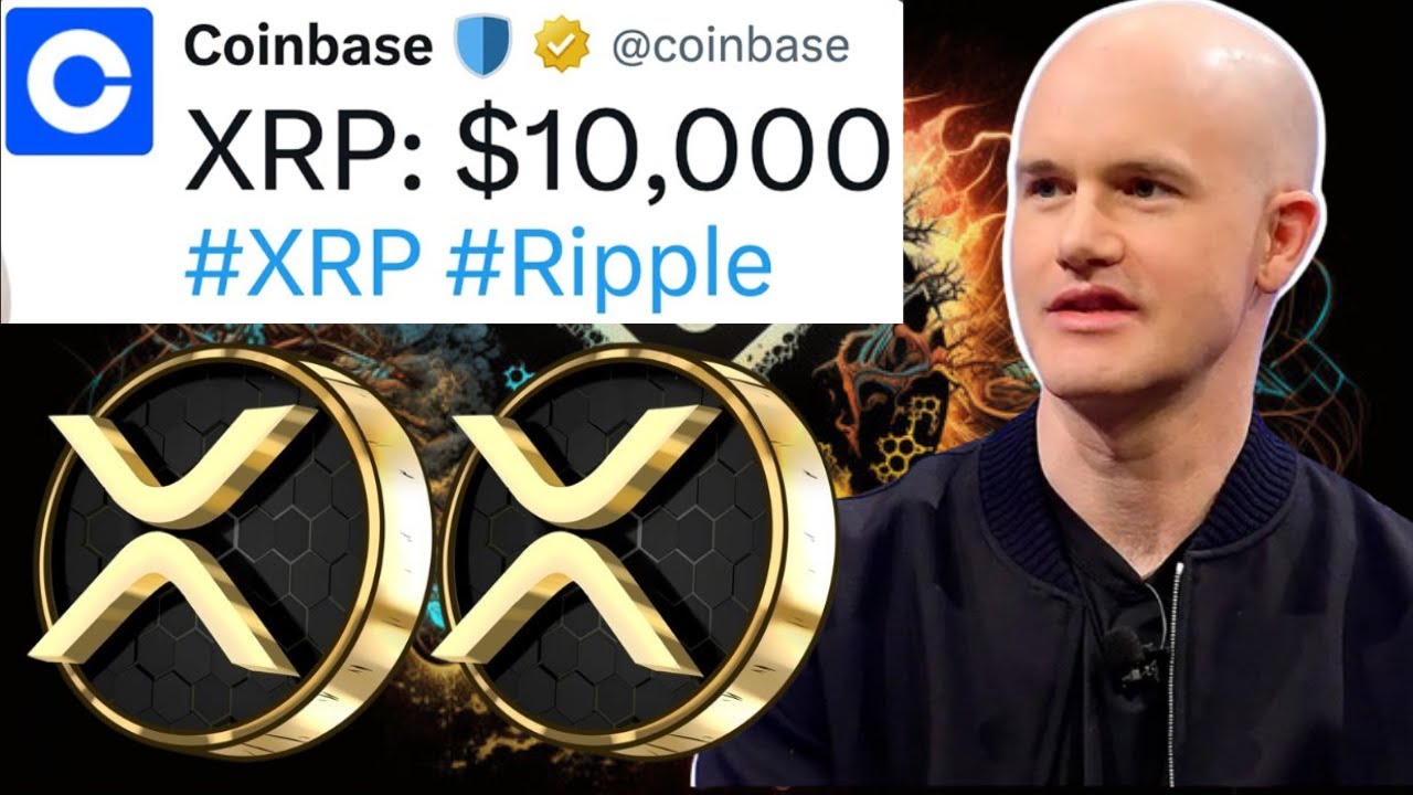 Ripple XRP ITS SHOWTIME DECEMBER 8th MR POOL KNEW DAVID SCHWARTZ ...