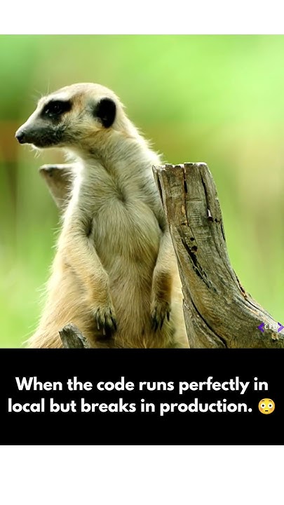 When The Code Runs Perfectly In Localhost But Breaks In Production 😳coding