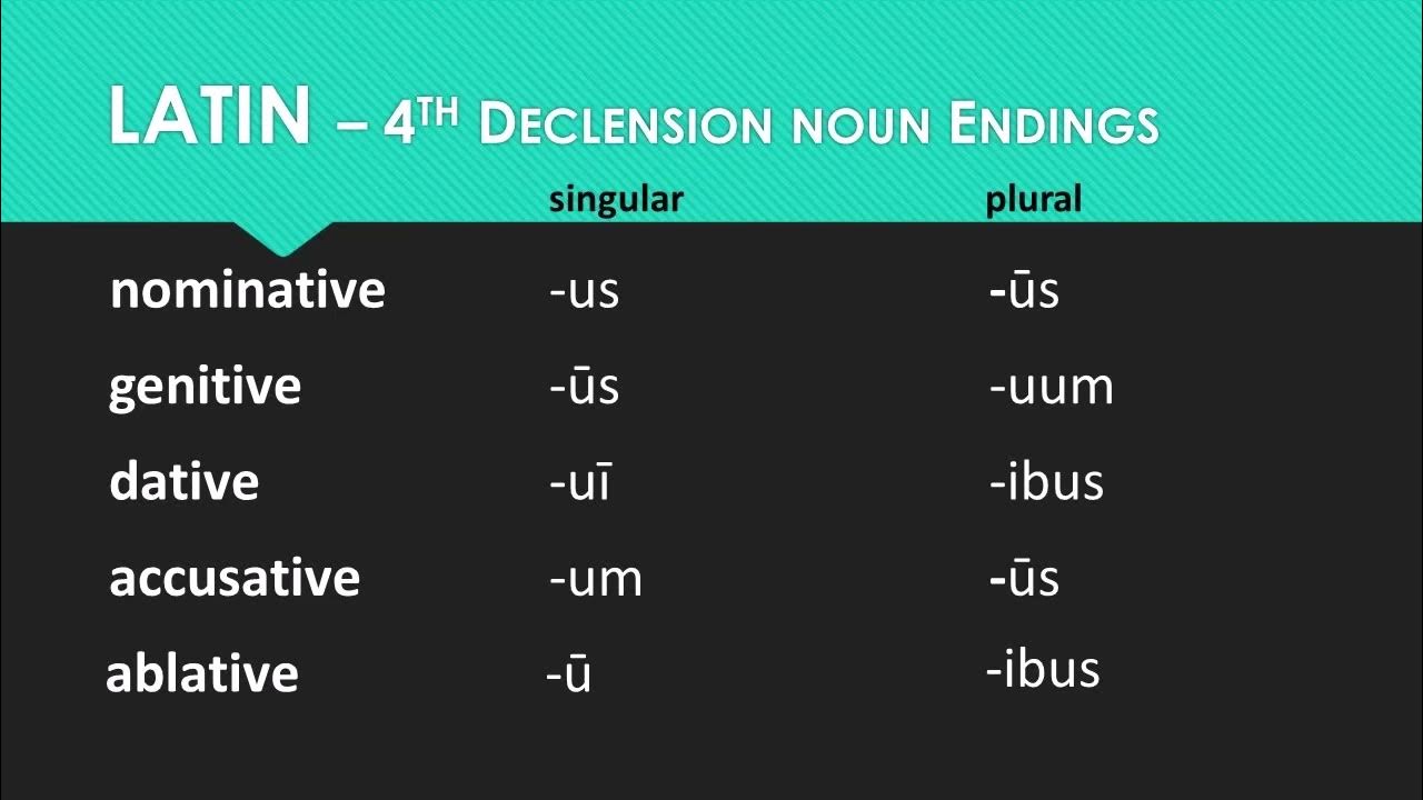 CC weeks 9-10, 21-22 Latin 4th Declension Noun Endings - YouTube