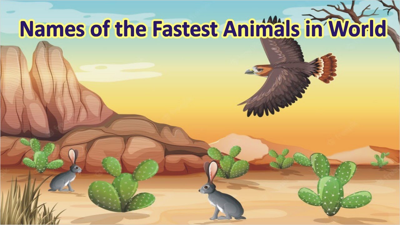 Learn the Names of the Fastest Animals in English with Pictures || Lets ...