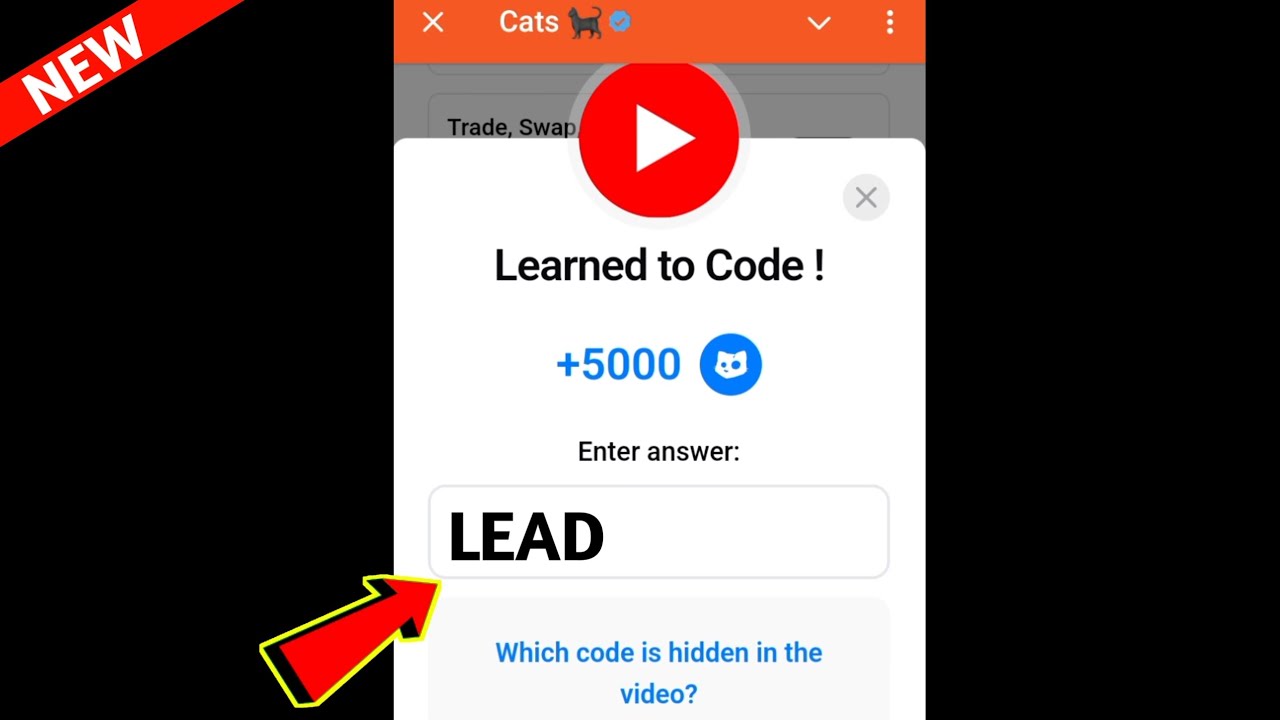 Learned to Code! Cats Code | Learned to Code! cats video code today ...