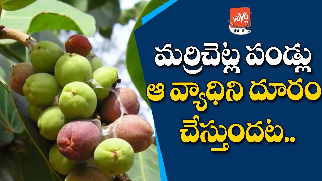 Marri Chettu Upayogalu| Banyan Tree Fruit Remedies | Benefits Of Banyan ...