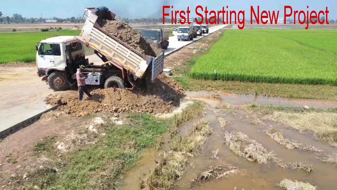 Starting New Project Make ROAD Crossing the Field Using Dozer Push Soil ...