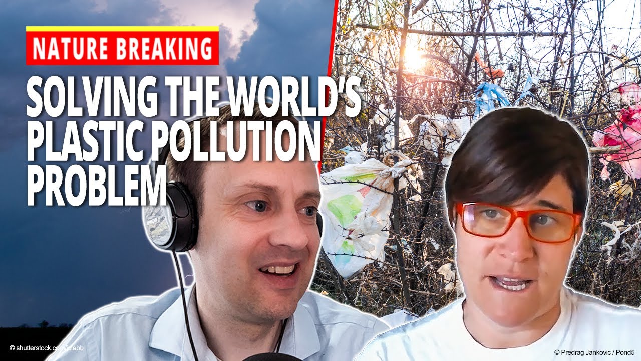 Plastic pollution is a problem. A new UN treaty could help. - YouTube