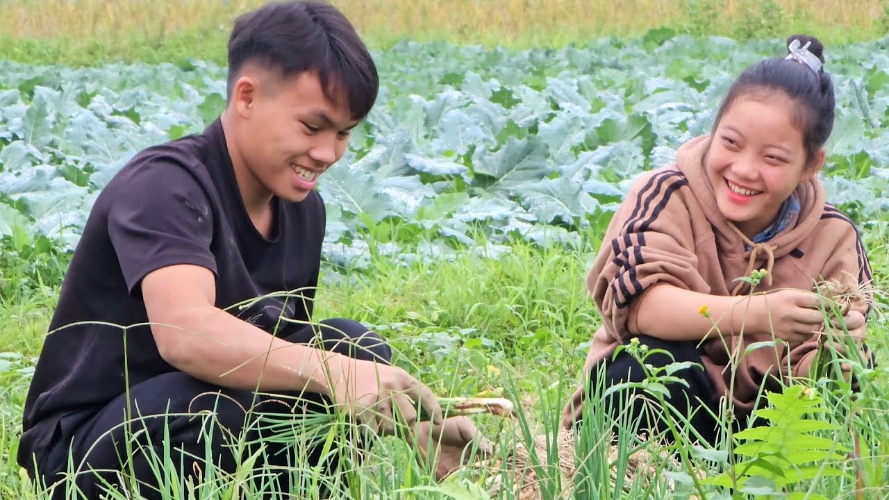 Culinary spices - Scallion: Starting the Bedroom for Sua | Sung A Pao ...