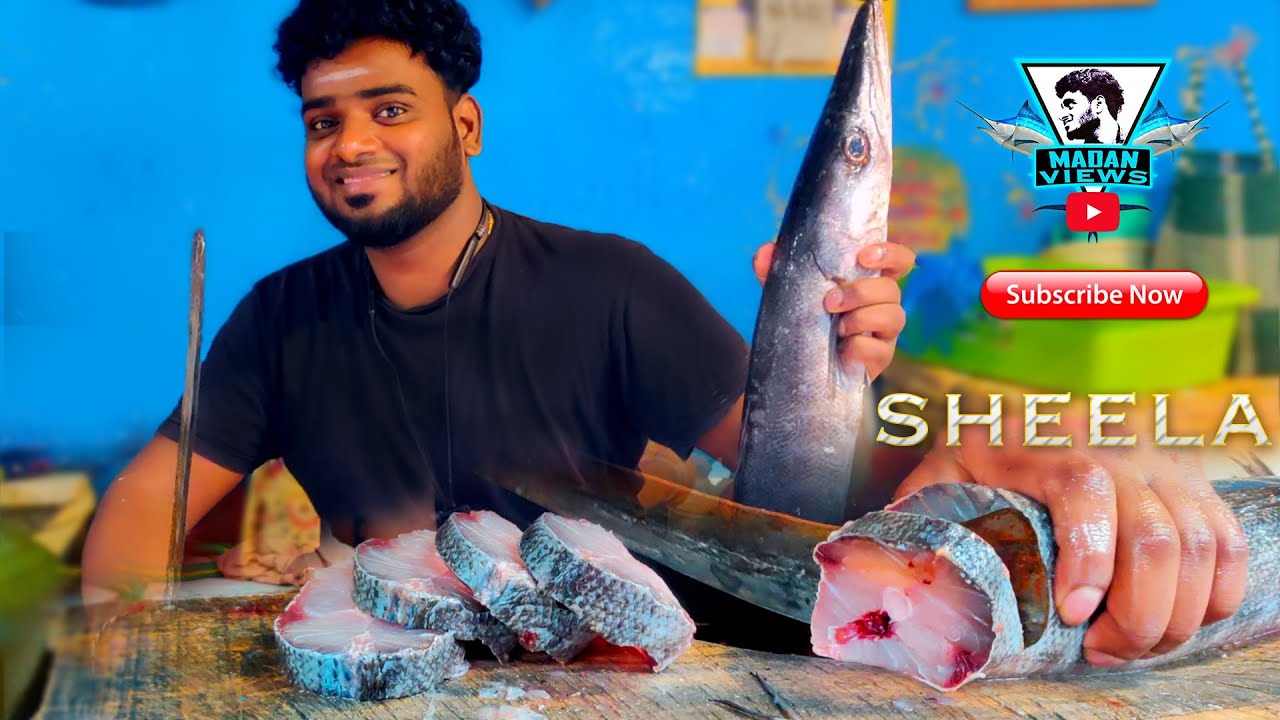 ( BARRACUDA ) 4KG SHEELA FISH CUTTING #fishcuttingskills #fishcutting # ...
