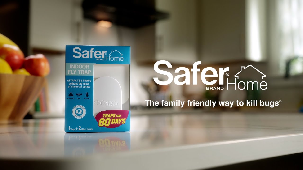 Safer Home Indoor Fly Trap | No Hassle, No Messy Sprays - YouTube