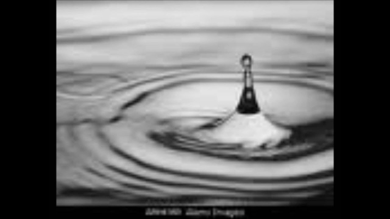 The Late September Dogs - Melissa Etheridge - YouTube