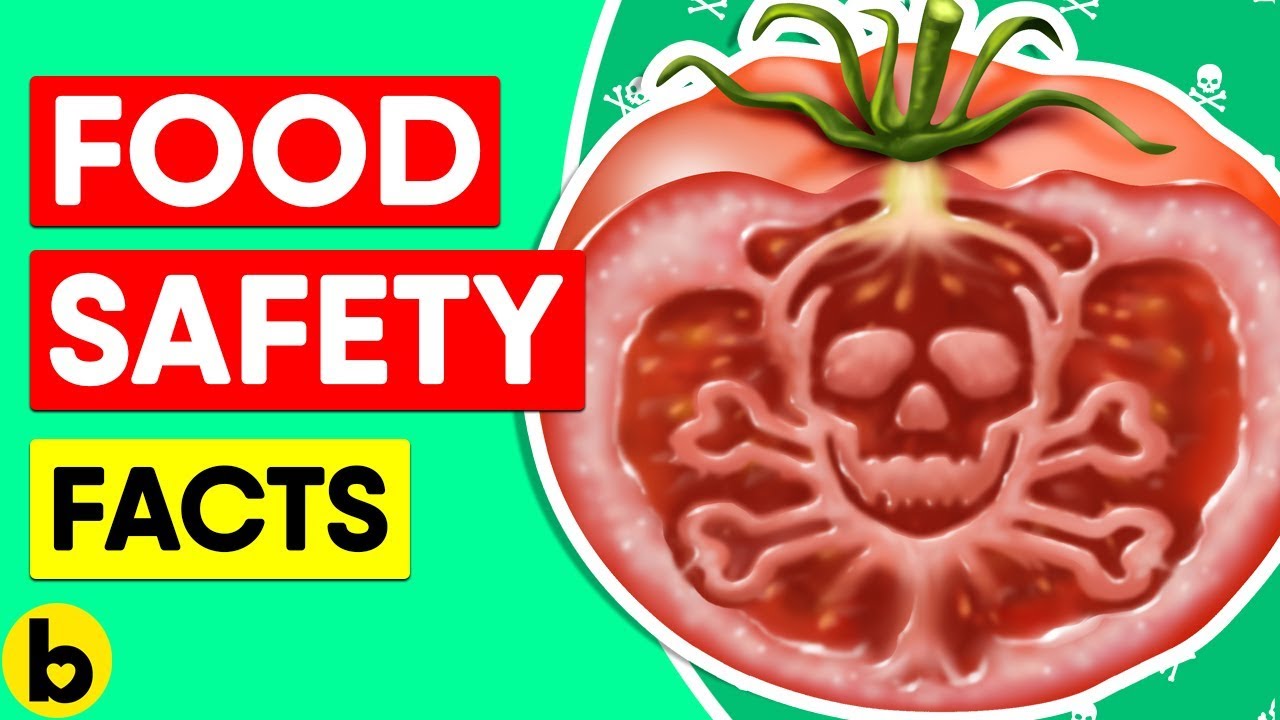 17 Food Safety Facts That You Should Know YouTube 17-food-safety-facts-that-you-should-know-youtube