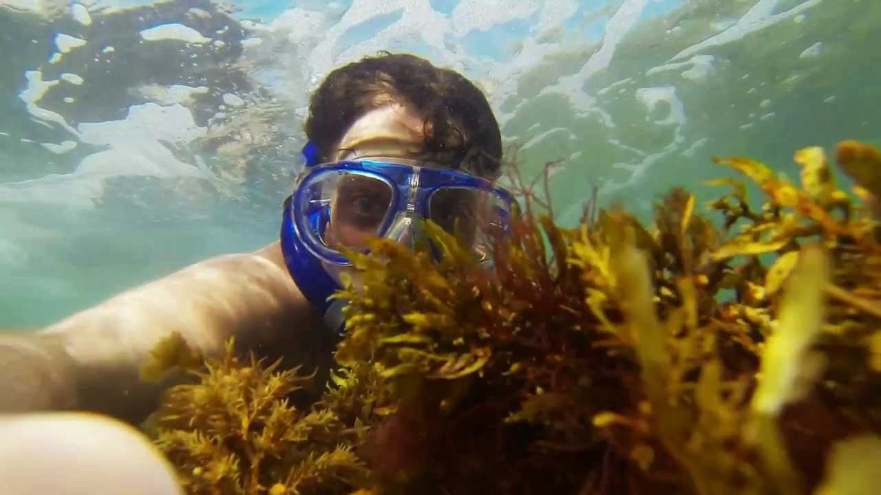 Snorkeling at Mettams Pool, Perth - YouTube
