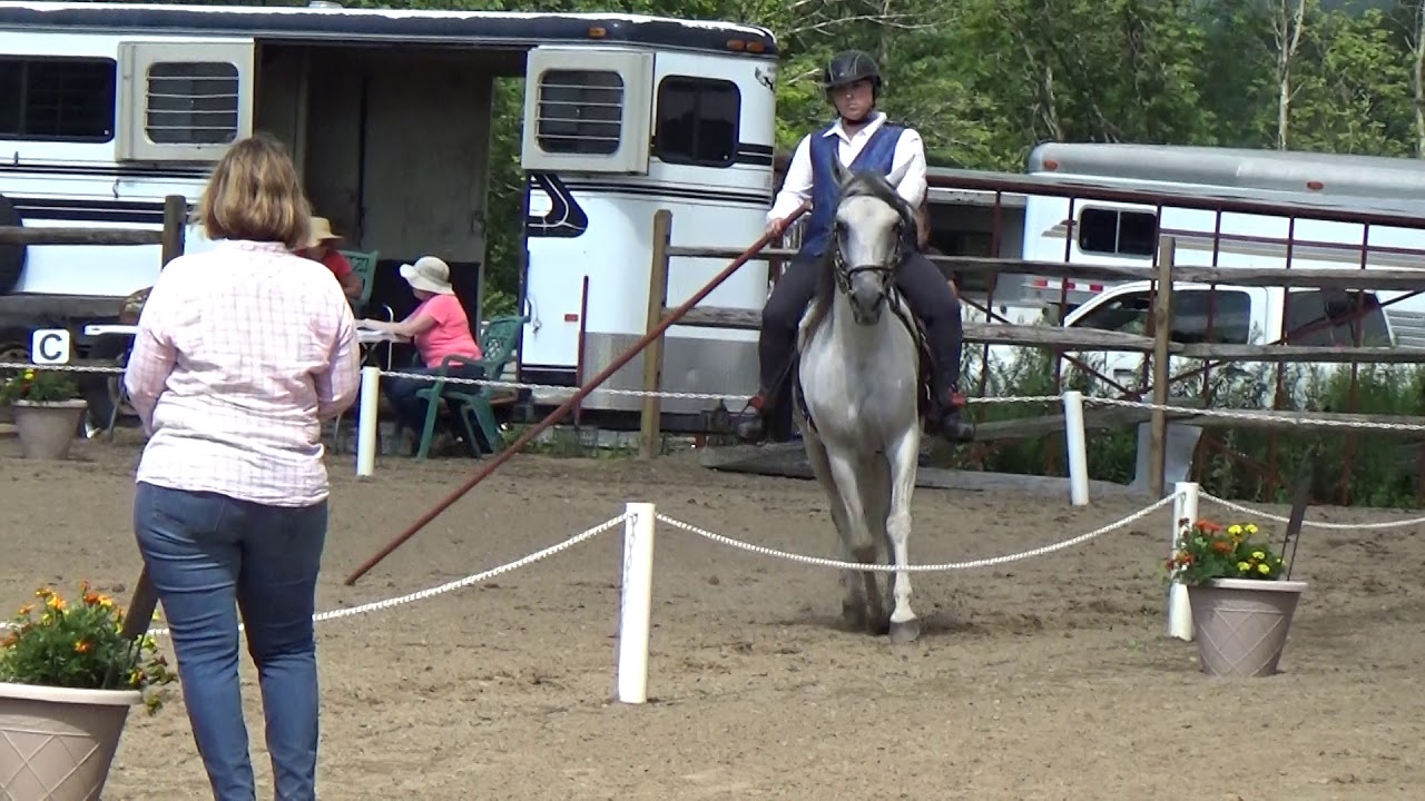 Western Dressage Level 1 Freestyle with Garrocha Pole on a Paso Fino ...